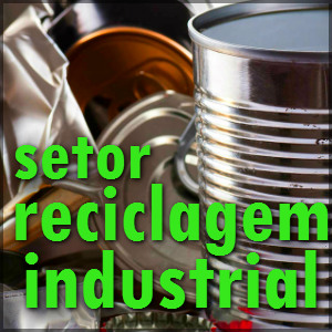 Arte Reciclada - Artesanato com recicláveis. Técnicas passo a passo e ...